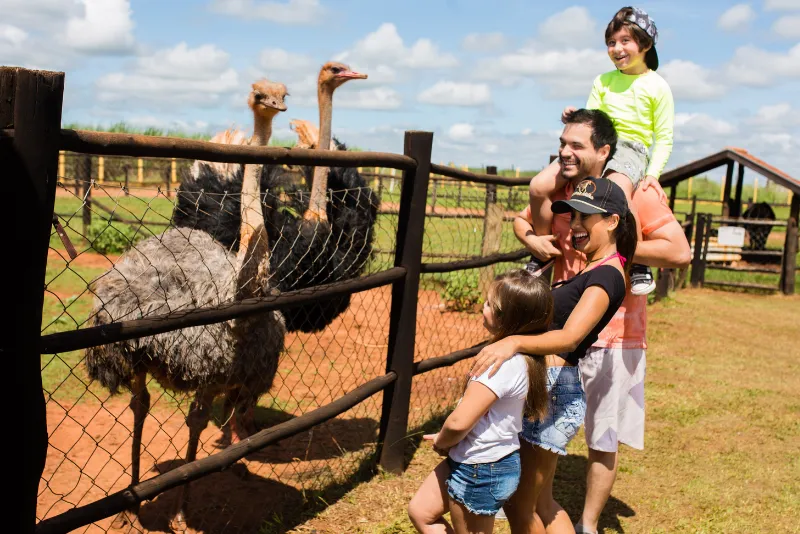 Barretos Country Parque | Galeria de Imagens | Central Tour