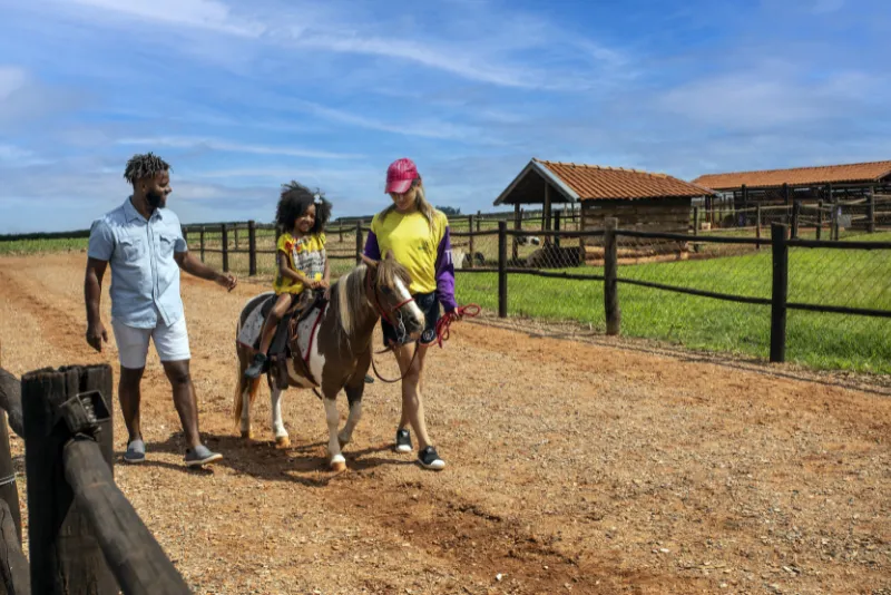 Barretos Country Parque | Galeria de Imagens | Central Tour
